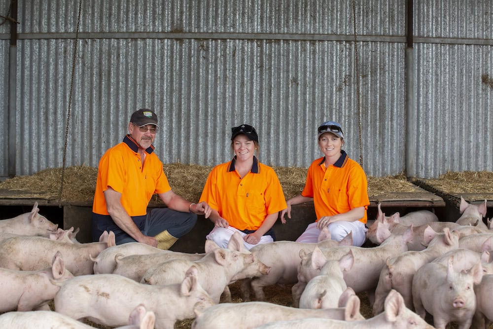 The Pollard family from Young have been breeding pigs for generations