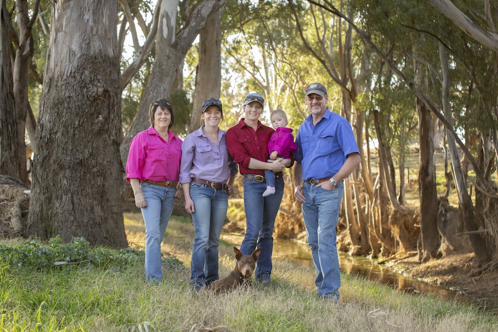 The Pollard family from Young have been breeding pigs for generations