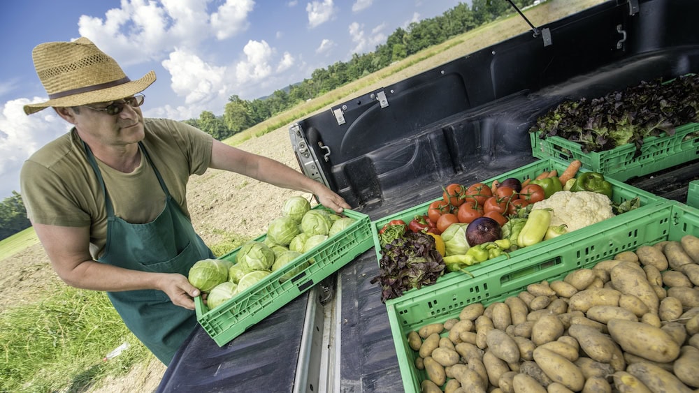 ag worker code now in force with a single permit system