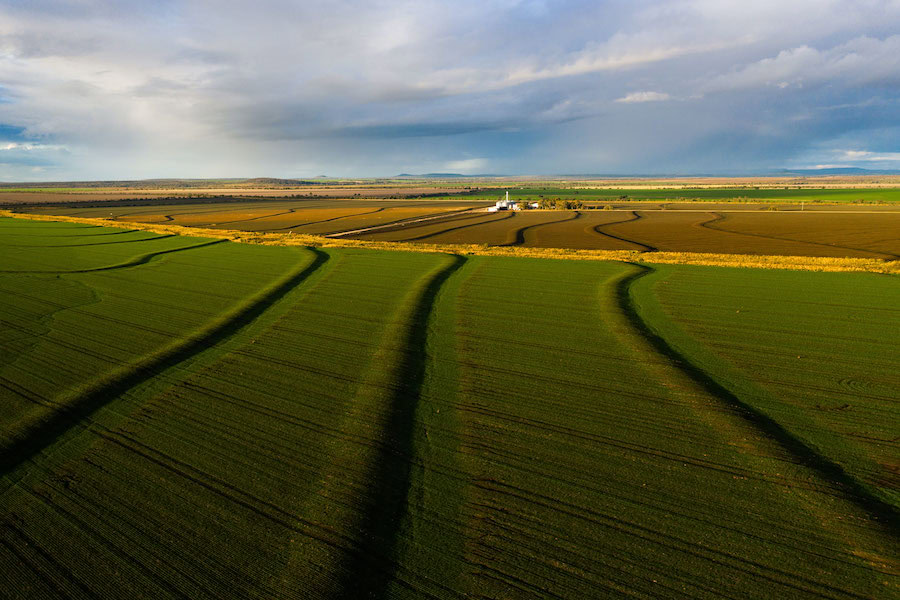 making more stuff in Australia - The Farmer magazine