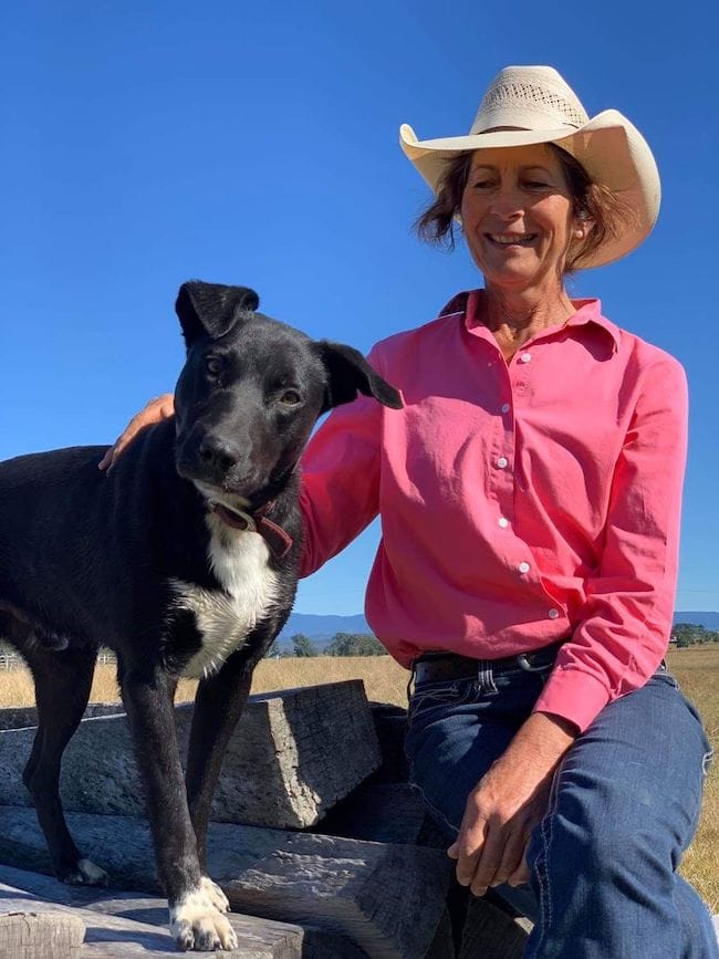 The hardest working farm dogs in the challenge wear GPS collars