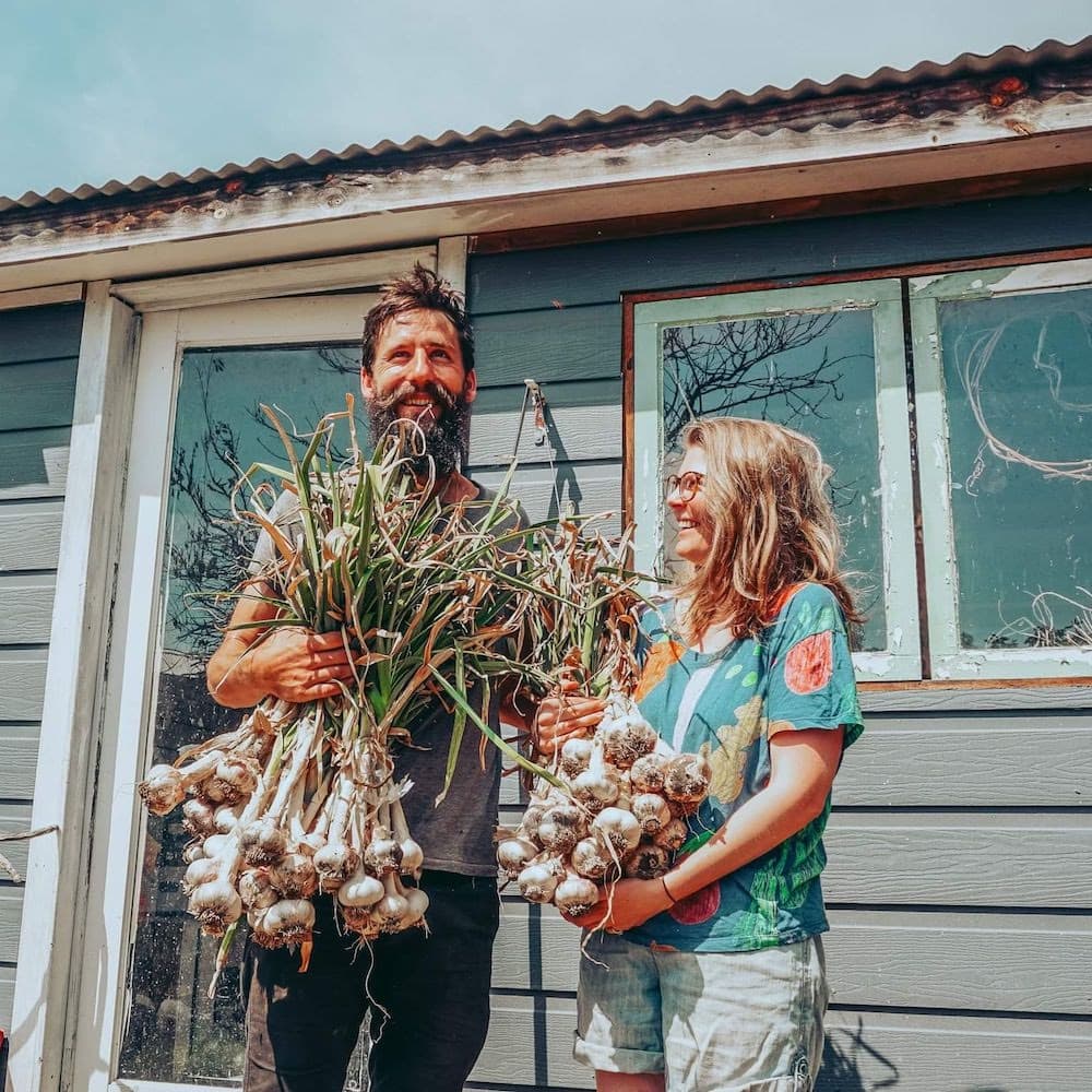 Australian garlic has a bright future, and black garlic is on trend