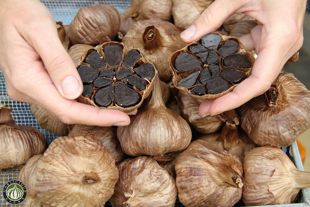 Australian garlic has a bright future, and black garlic is on trend