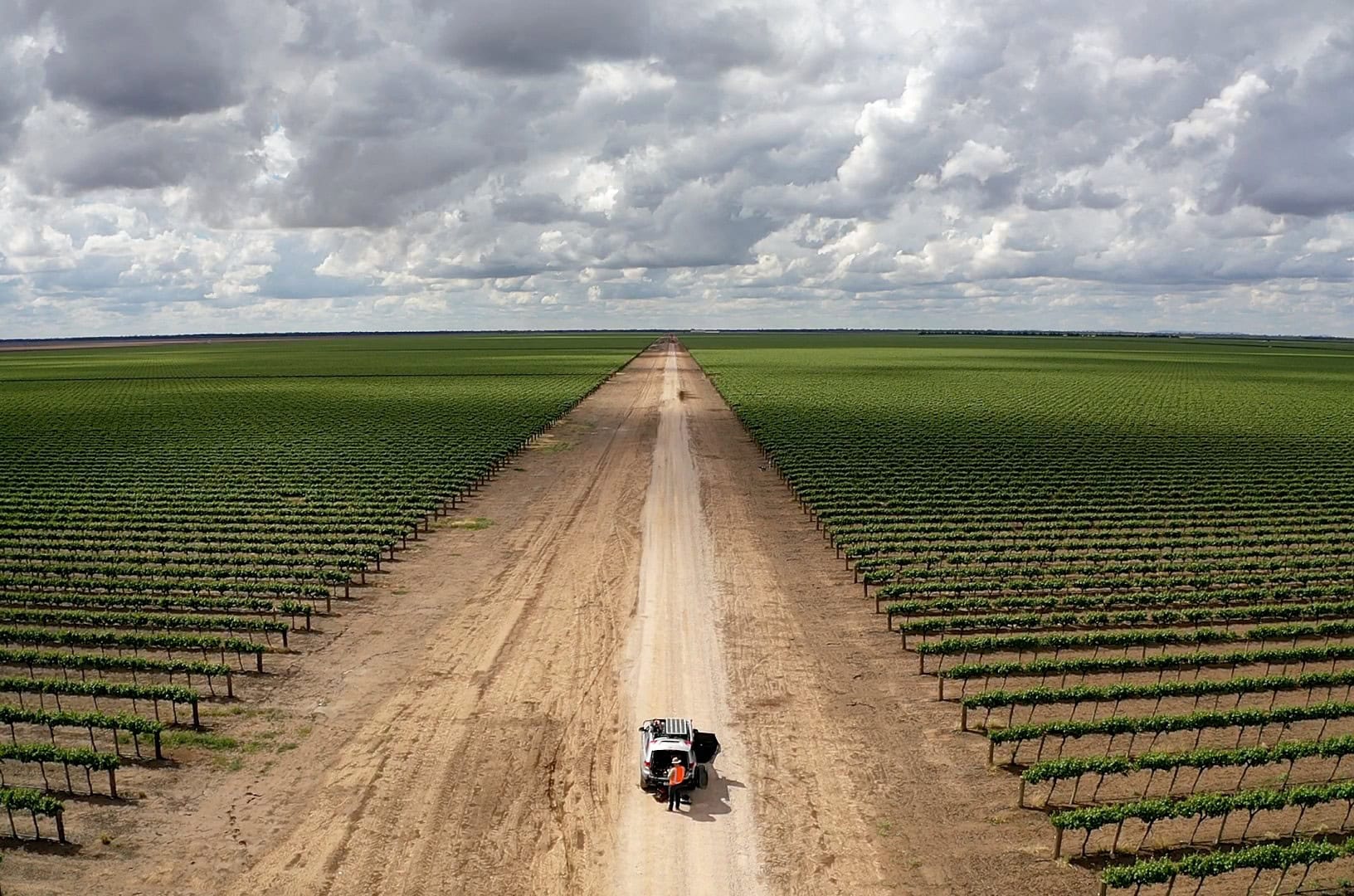 Scammers target farmers with fake products