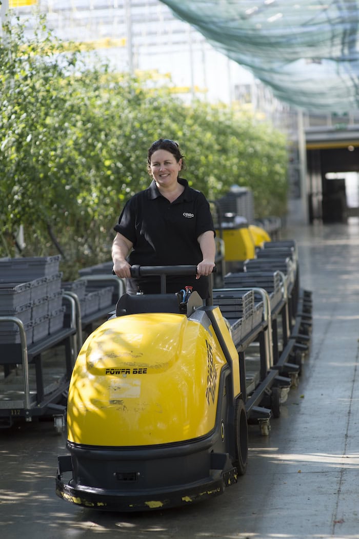 The Costa Group has breathed new life into thw town of Guyra