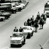 The farmers of remote Lord Howe Island