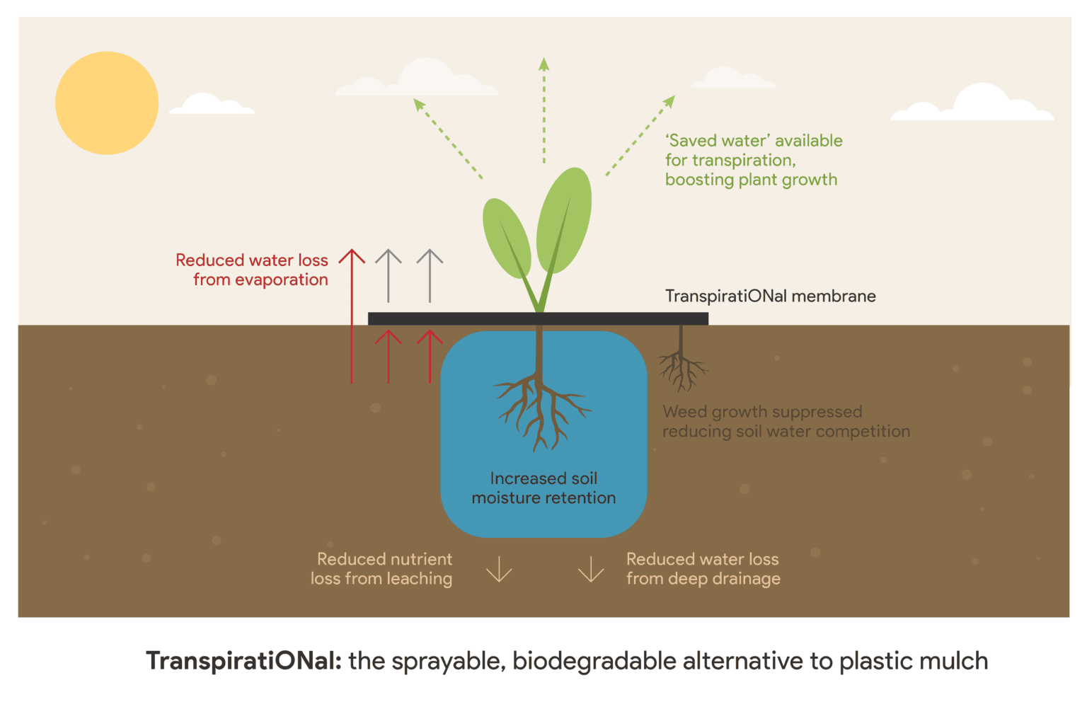 CSIRO develops biodegradable mulch - The Farmer Magazine