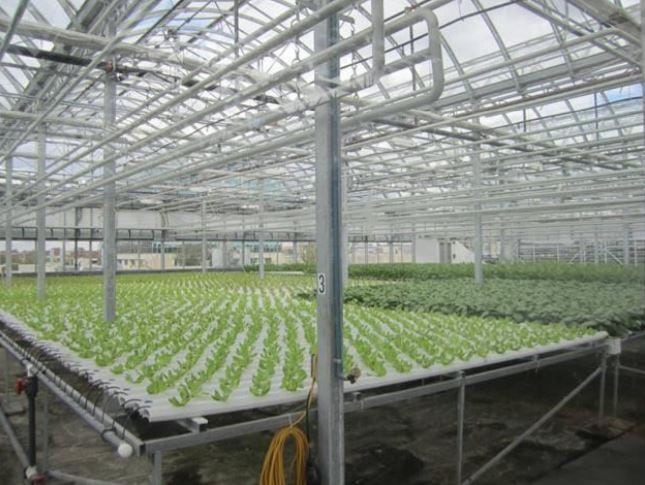 Hort Innovation in vertical farming collaboration that will