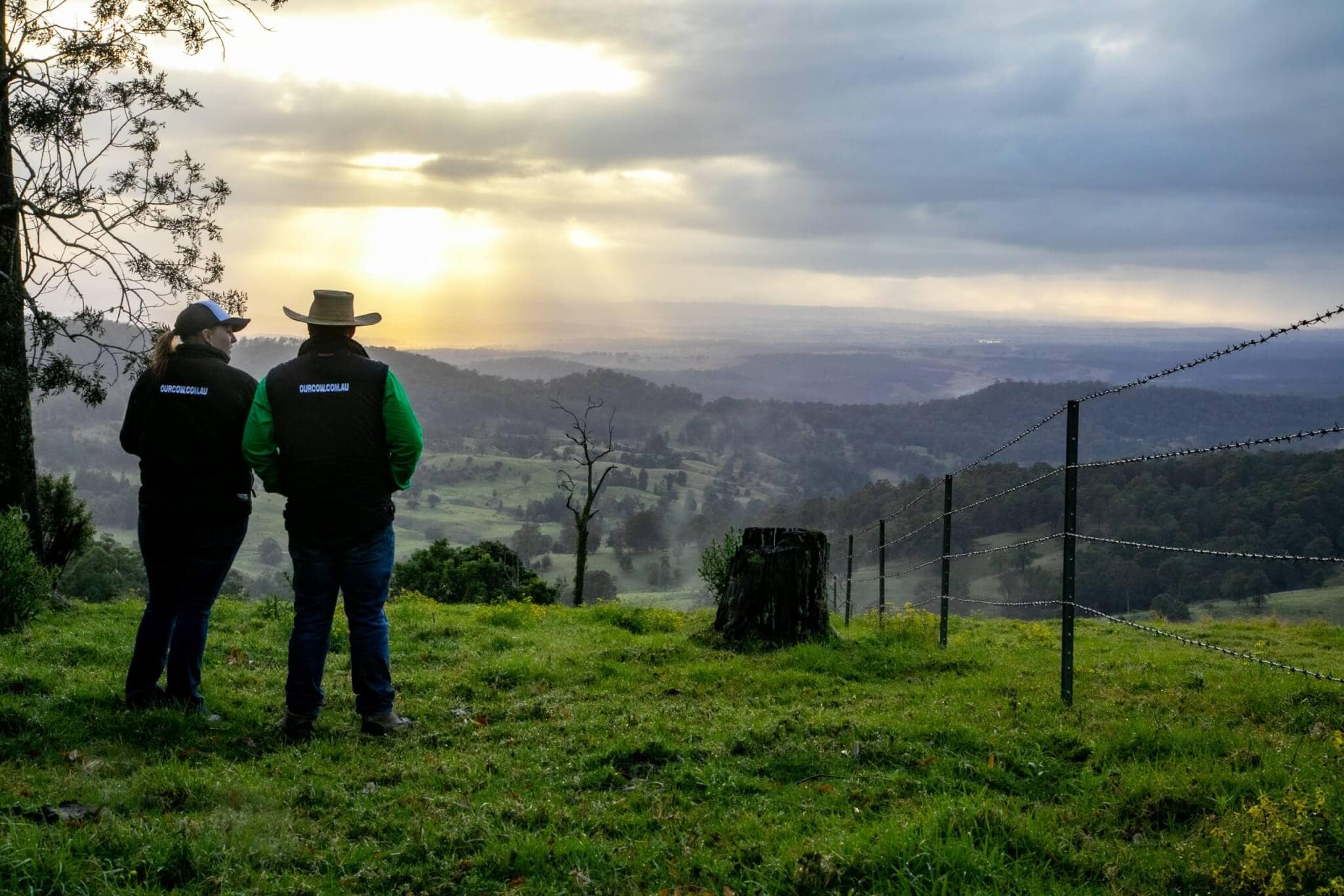 Our Cow meat delivery service takes off - The Farmer Magazine