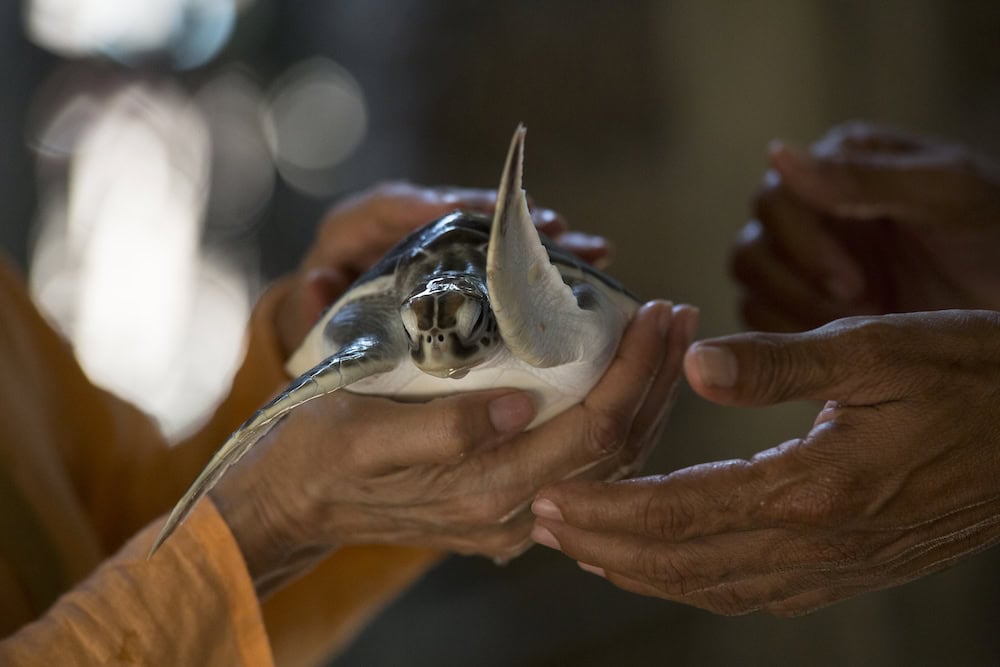 Wildlife smuggling is the fourth biggest illegal trade in the world