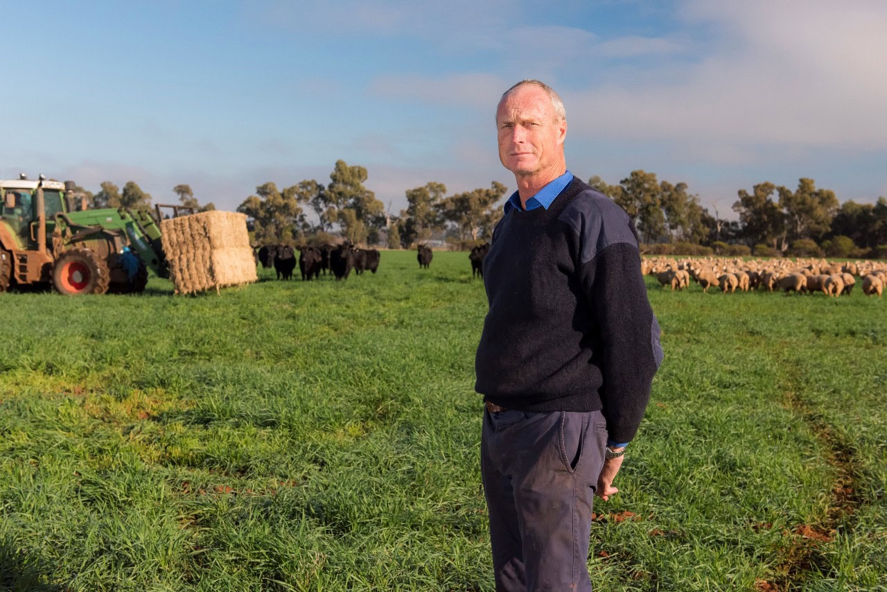 Shearing the Rams 130 years on - The Farmer Magazine