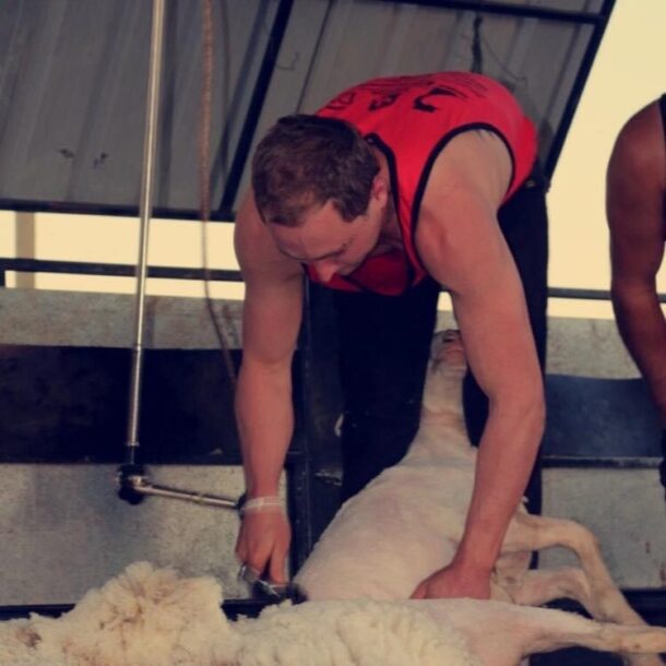 James Boogie Ferguson swapped boilermaking for shearing