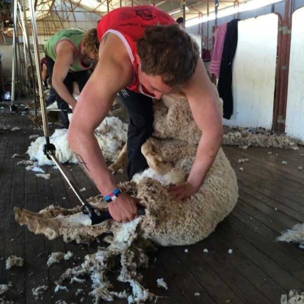 James Boogie Ferguson swapped boilermaking for shearing