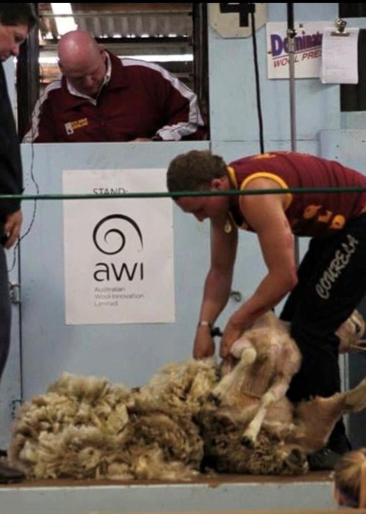 James Boogie Ferguson swapped boilermaking for shearing