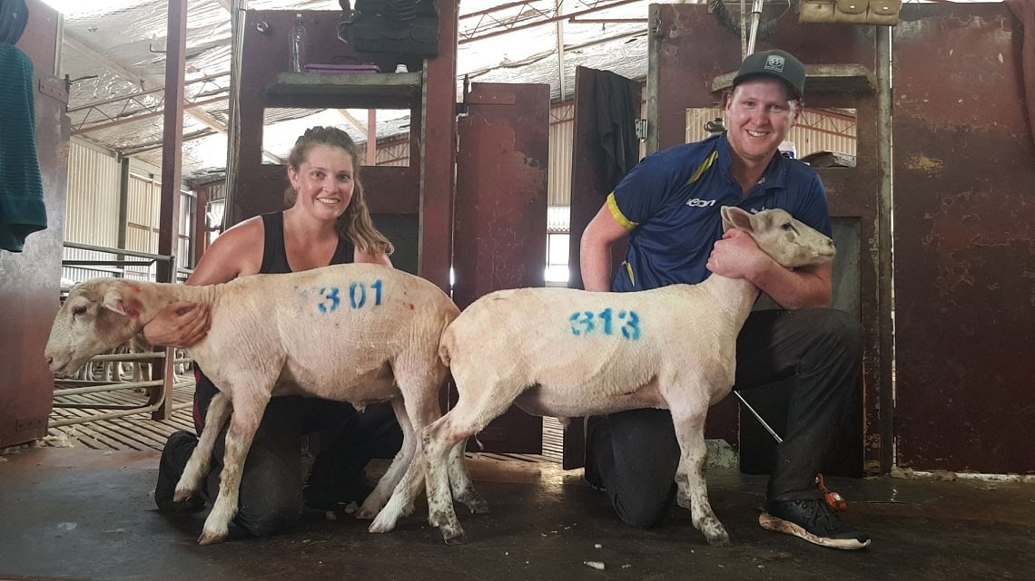 Life as a female shearer: "the tables have really turned" | The Farmer