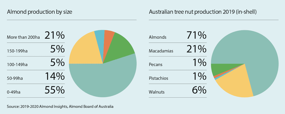 Inside Australia's almond industry - The Farmer Magazine