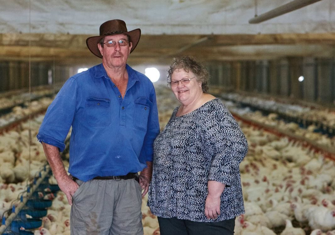 Chicken producers ask for protection from monopolies