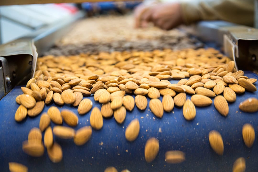 Inside Australia's almond industry - The Farmer Magazine