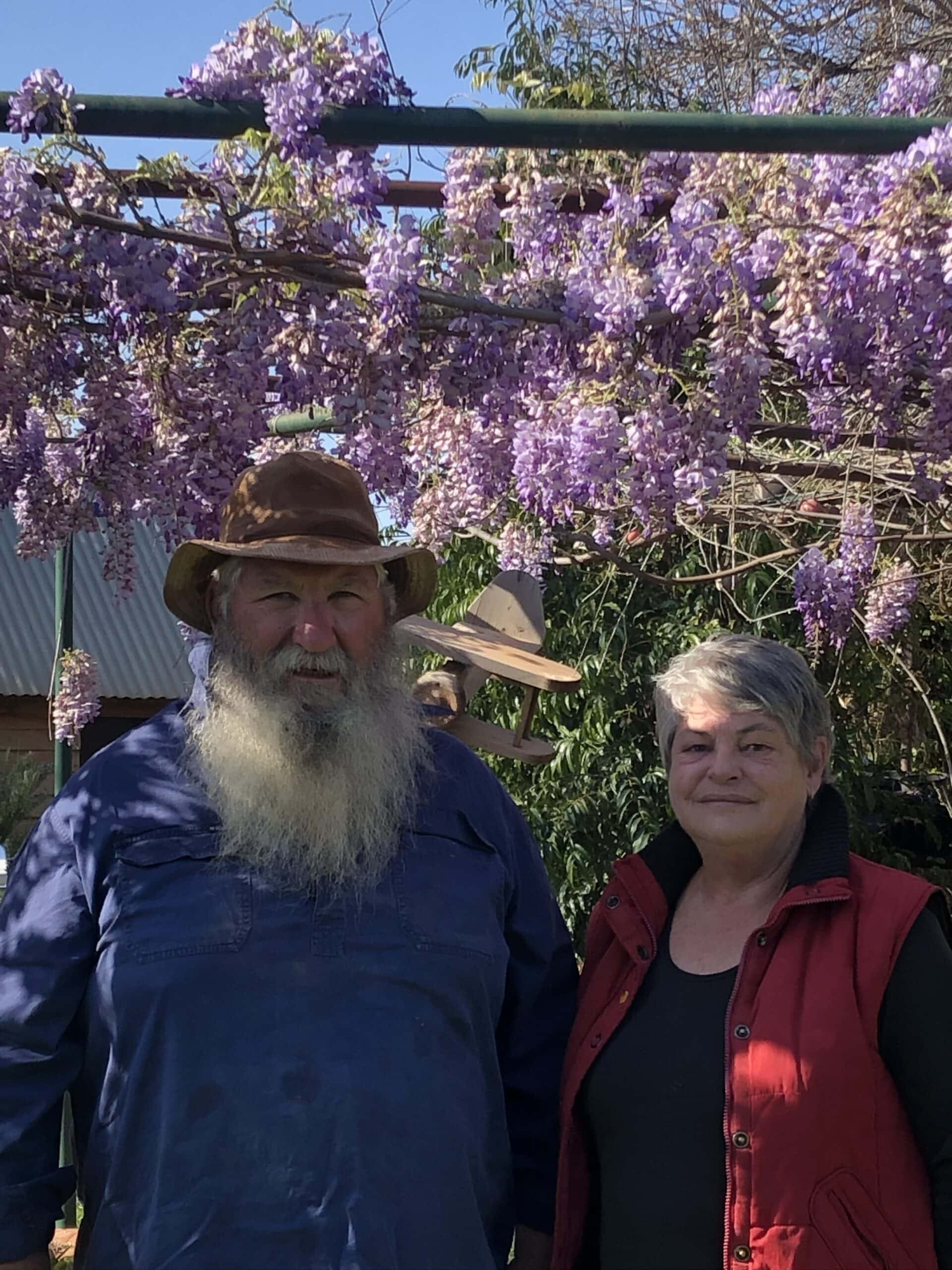 A carbon credits project has helped fund new stock yards on Cobar farms