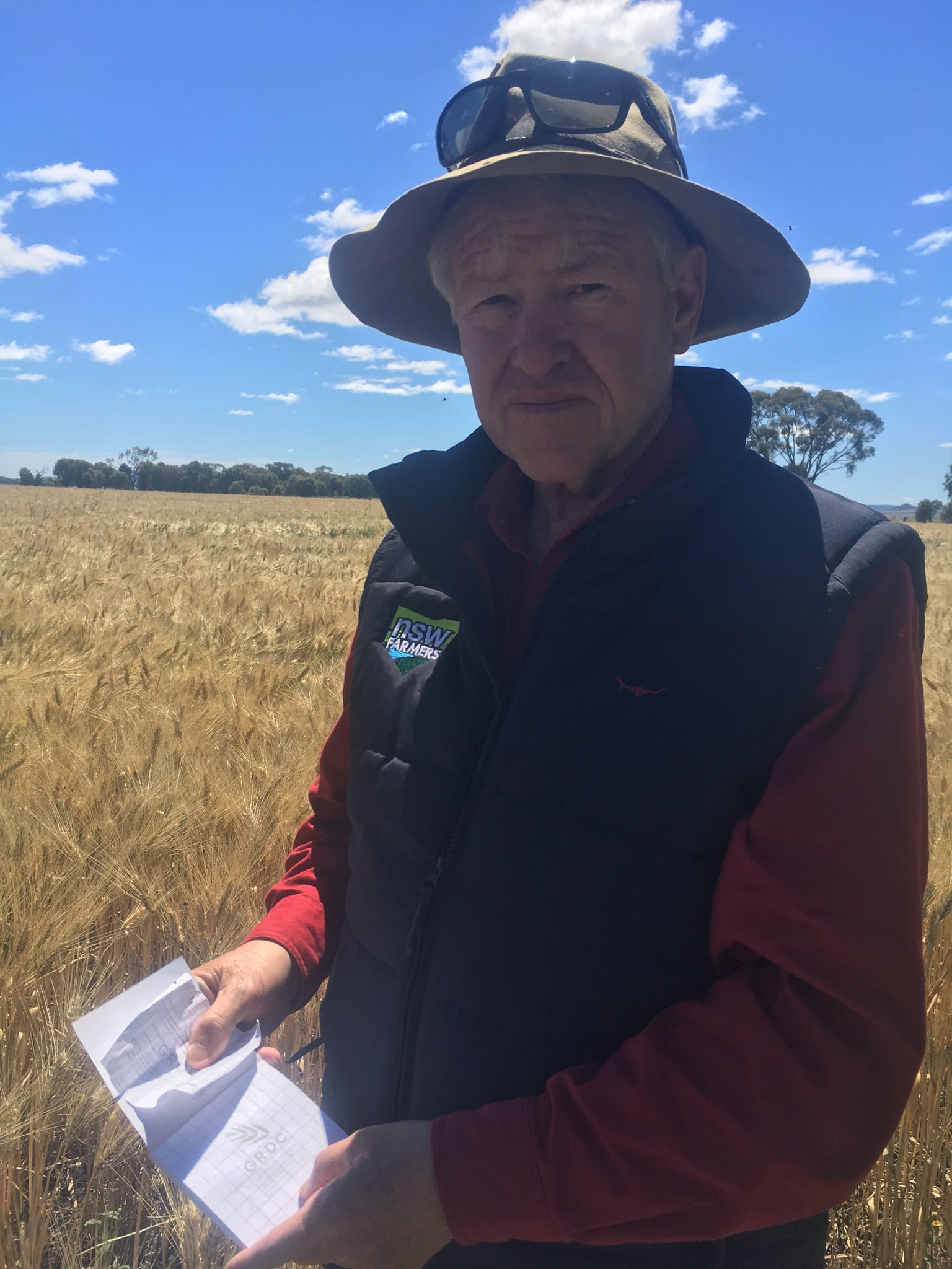 Mouse activity in northern NSW prompts bait rebate reminder