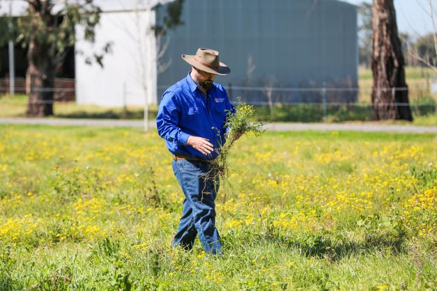 Local Land Services – Securing the future of agricultural production