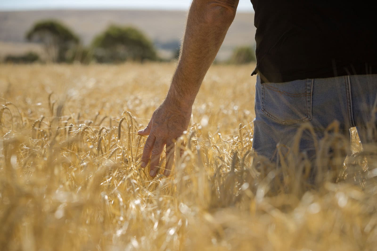 NSW Farmers looks at the budget and what it means for the year ahead