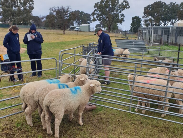Hands-on ag learning at Cowra with NSW Young Farmers