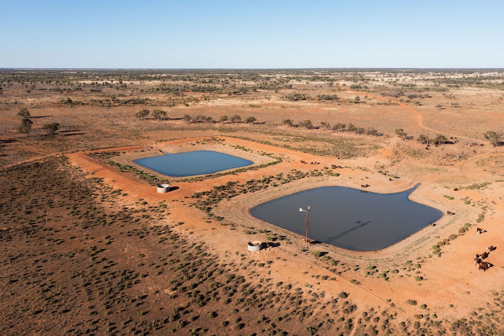 The Edsons have lived and worked together for three decades