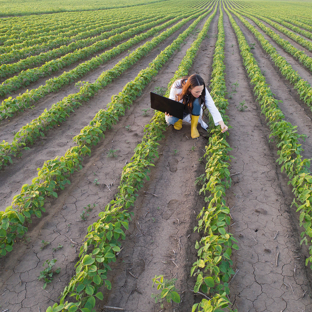 How reliable connectivity helps remove the barriers of isolation for ...