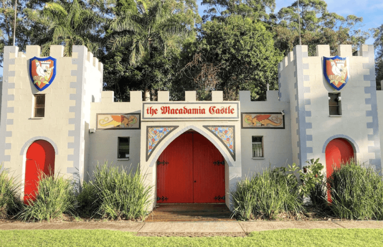 Looking into Australia's macadamia industry – the hard nut to crack