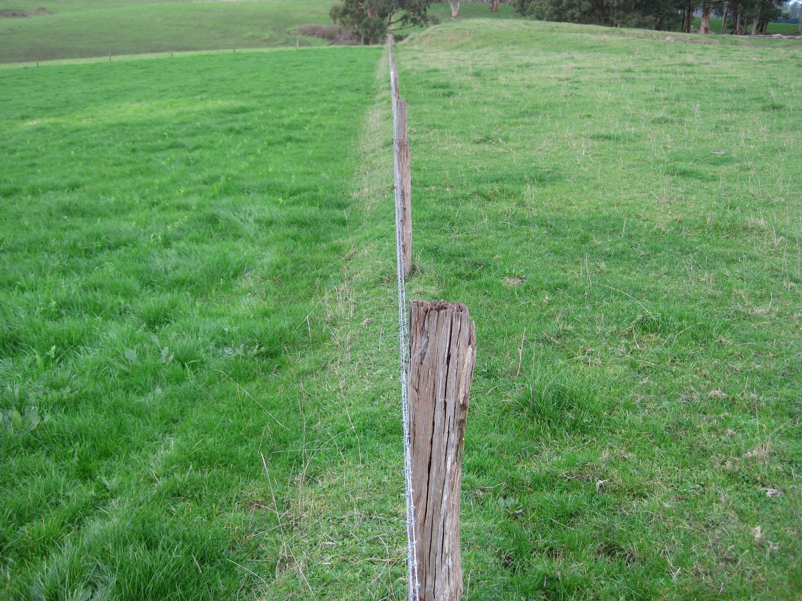 Communication & connectivity in the bush – connecting the dots