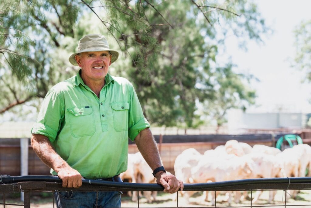 Merino sheep breeder Angus Beveridge on sheep meat and wool