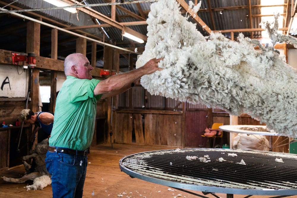 The agricultural legacy of James Ruse - The Farmer Magazine