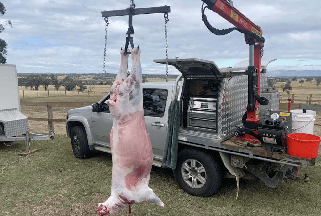The mobile butcher: From paddock to produce and then to plate