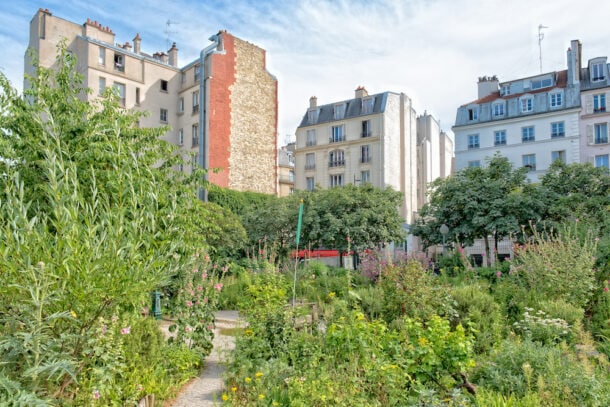 Can urban farming produce food at a good enough scale?