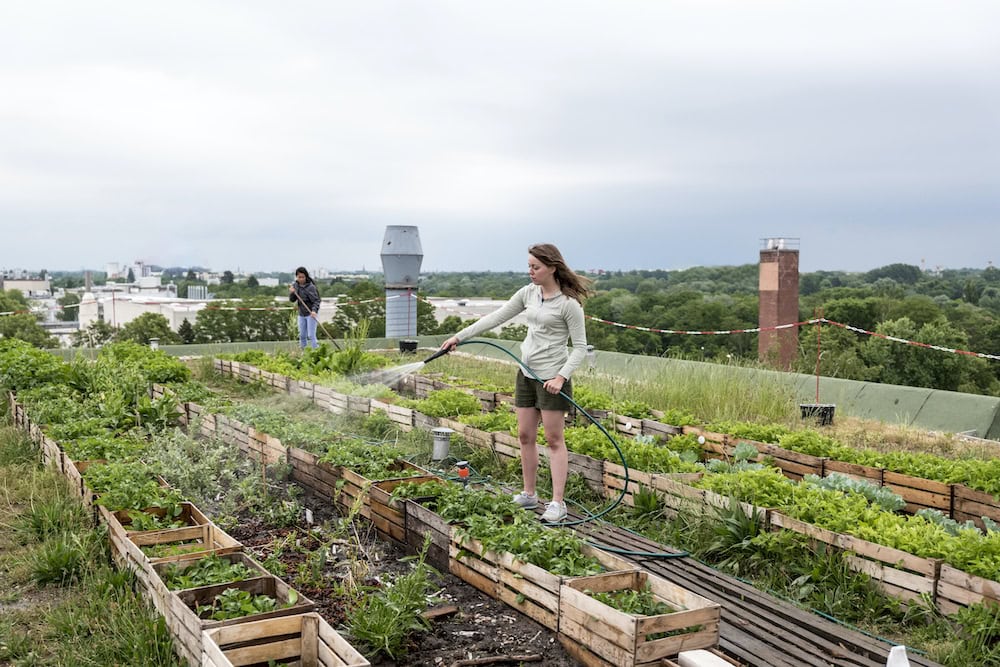 Can urban farming produce food at a good enough scale?