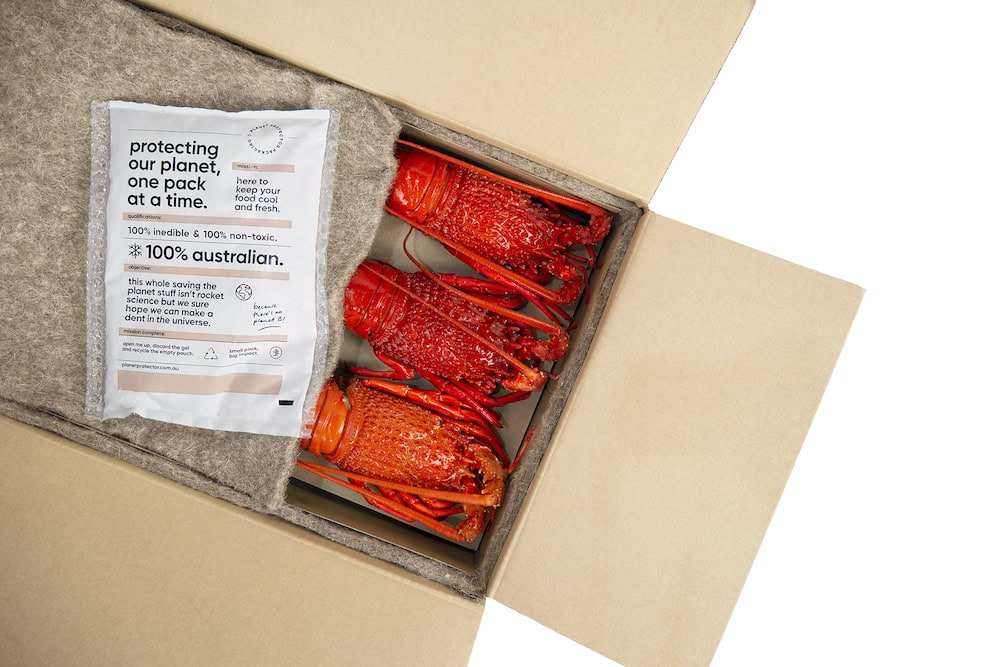 Wool growers will soon have new opportunities in wool processing