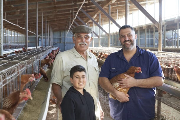 Meet the Fenech family – chicken and egg producers from Sydney.