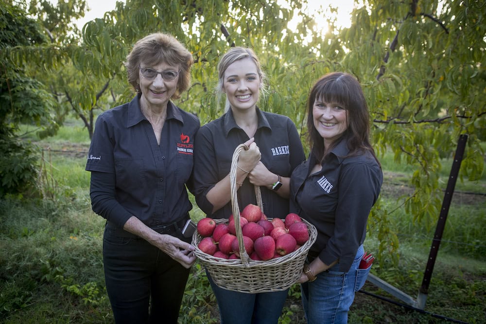 Behind the scenes in our apple industry