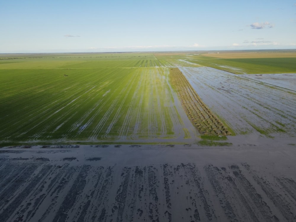 Flooding hits east coast grain crop