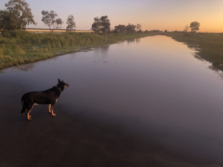 Reforms needed to government's flood response inquiry