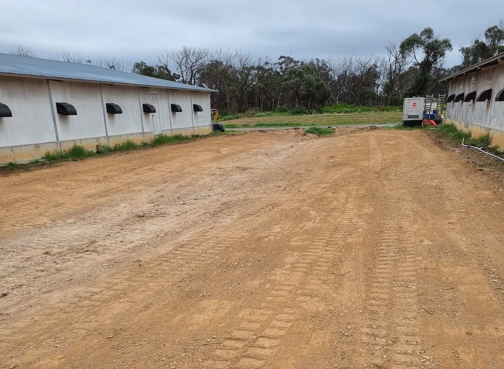Geothermal poultry meat can help the environment