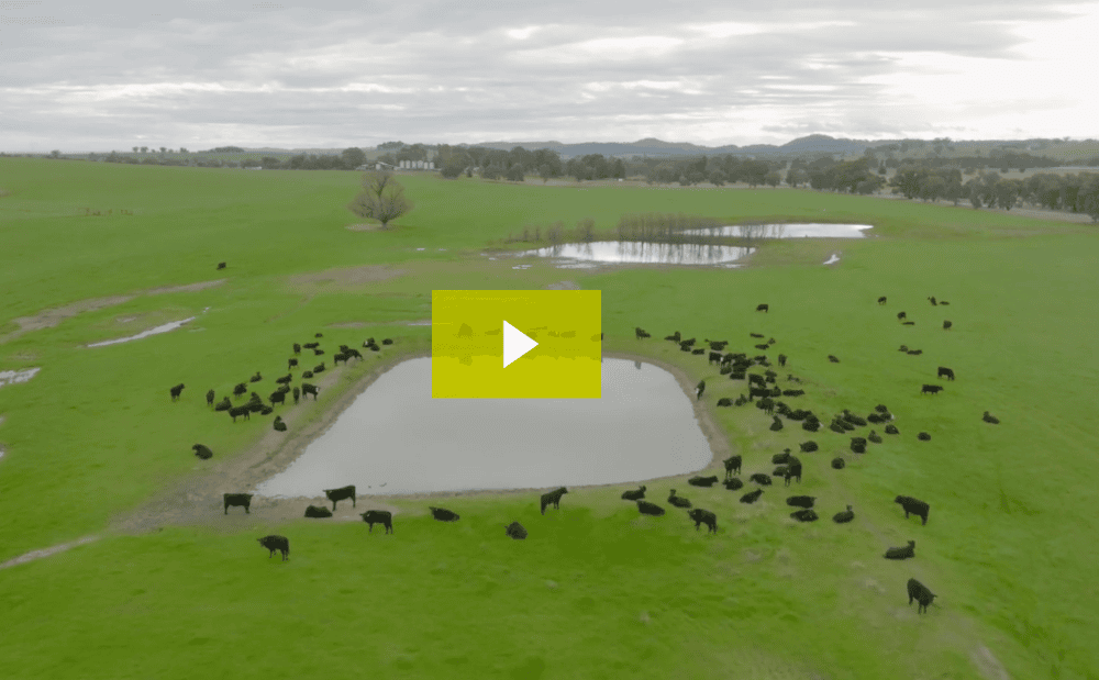 Spotlight on proposed Maxwell solar factory