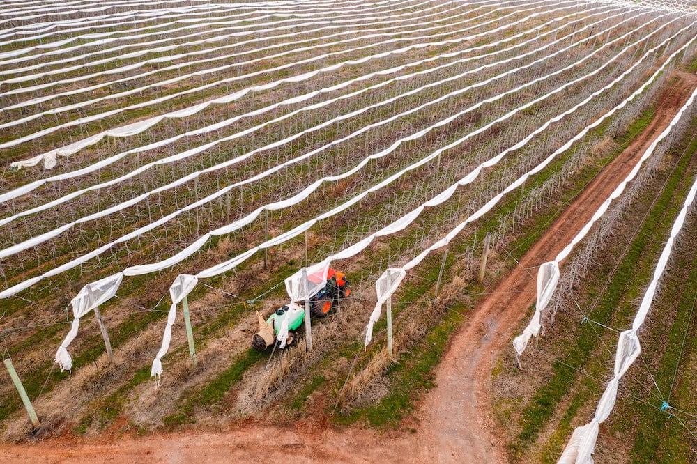 The Apple Thief is on the run - The Farmer Magazine
