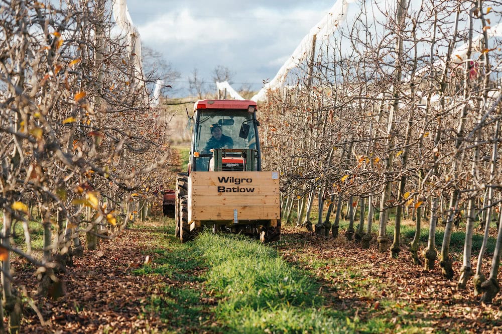 The Apple Thief is on the run - The Farmer Magazine