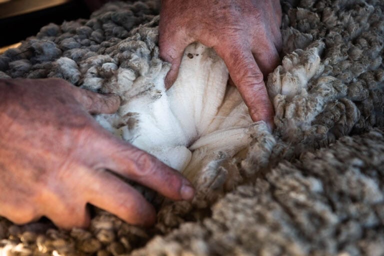 The Suttor family: custodians of the land - The Farmer Magazine