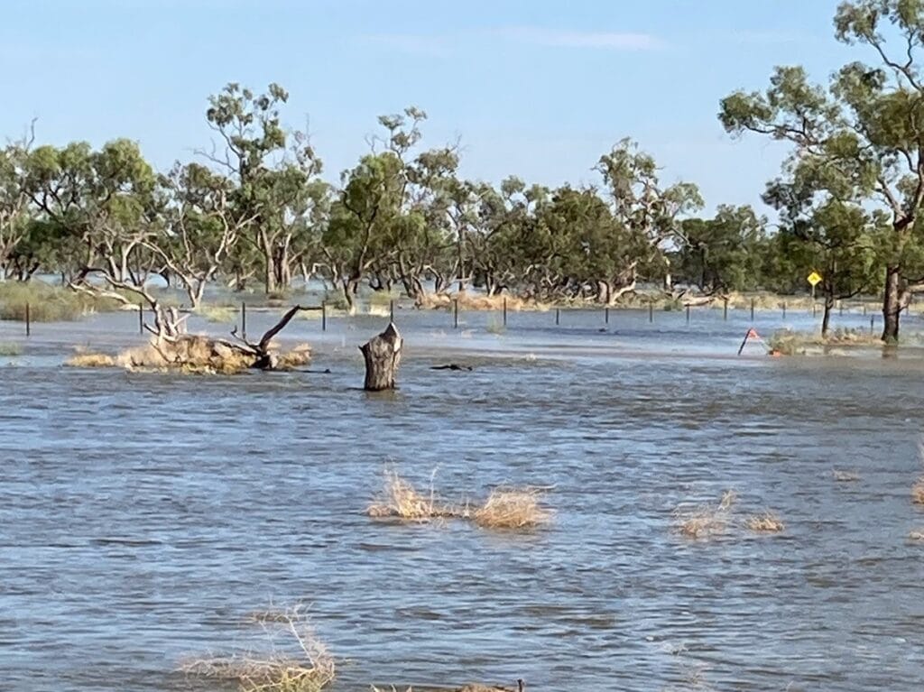 Record flood forecast for Menindee