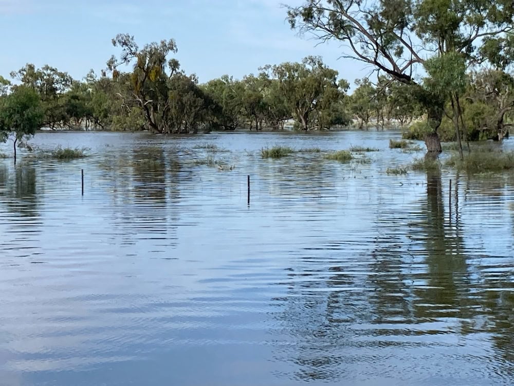 Record flood forecast for Menindee