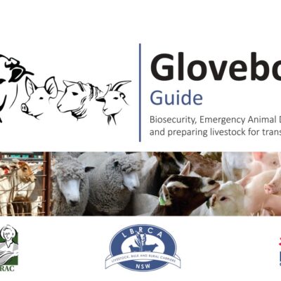 Premium lamb meat from LAMBPRO - The Farmer Magazine