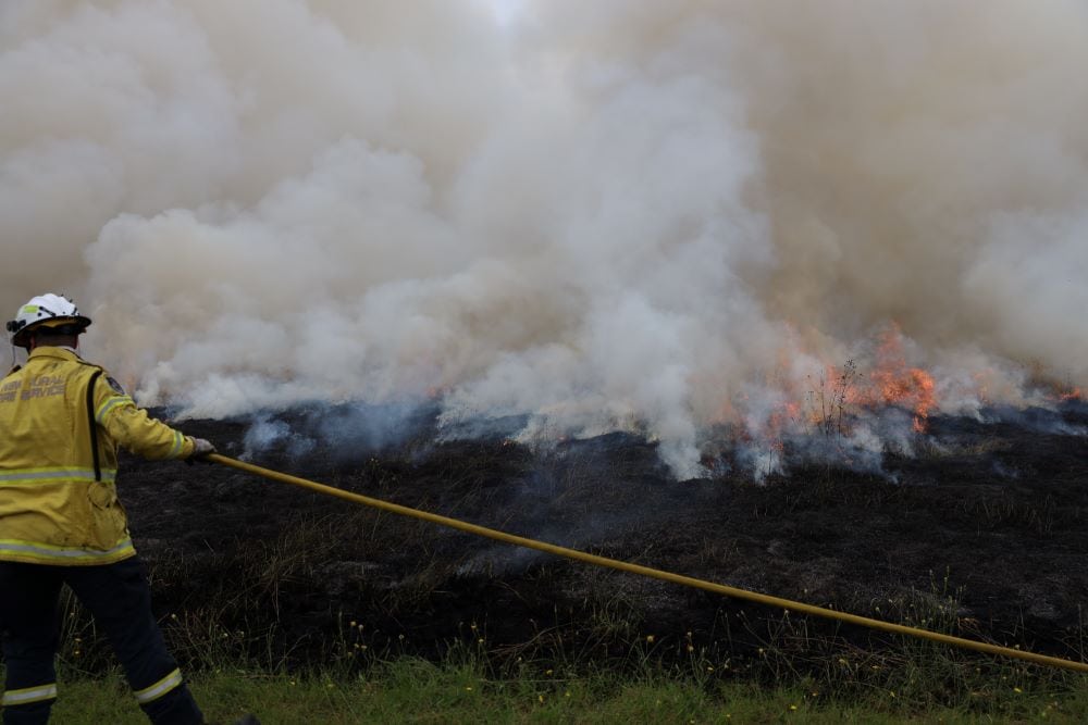 Abundant pastures spark grass fire risk